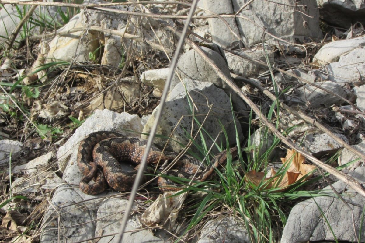 poskok - Nacionalni park "Plitvička jezera"