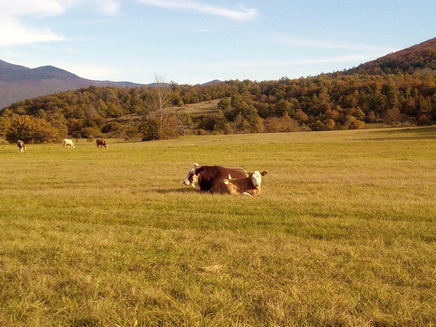 Pašnjak - Nacionalni park "Plitvička jezera"